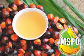 Malaysian Sustainable Palm Oil (MSPO) Certification - Colombo Times