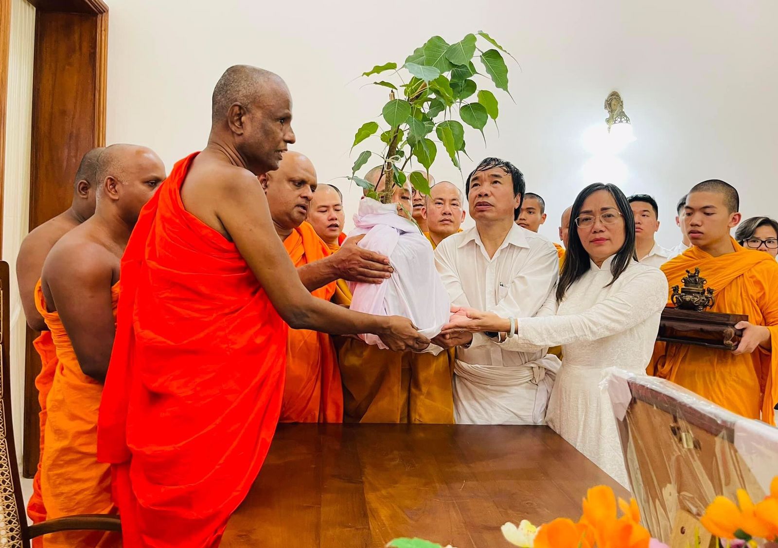 Sri Lanka gifts Sapling of Sacred Jaya Sri Maha Bodhi to Temple in ...