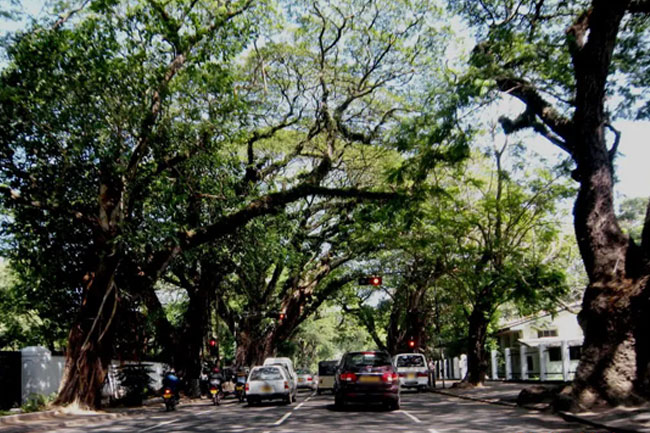 BAD WEATHER: Some roads in Colombo continue to remain closed on Sunday ...