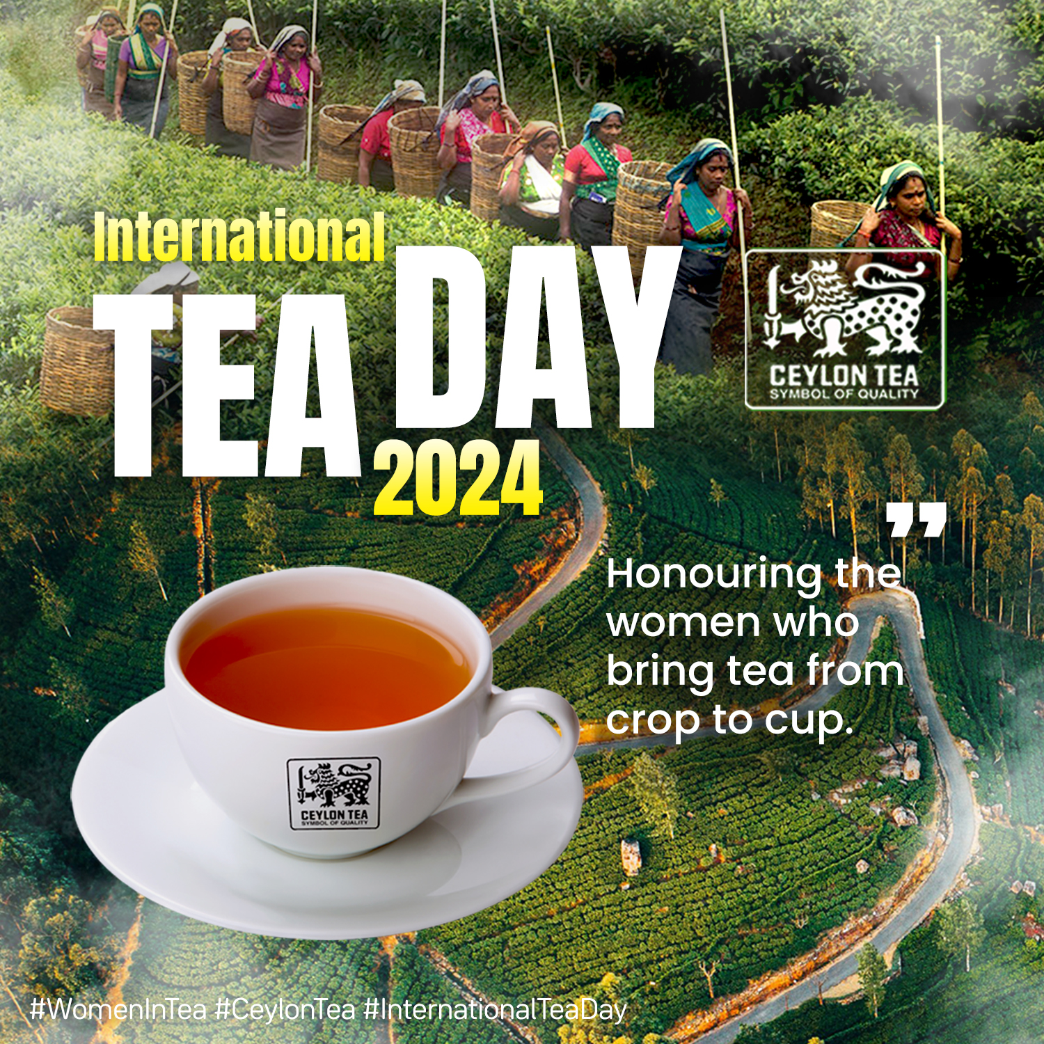International Tea Day on June 21 - Colombo Times